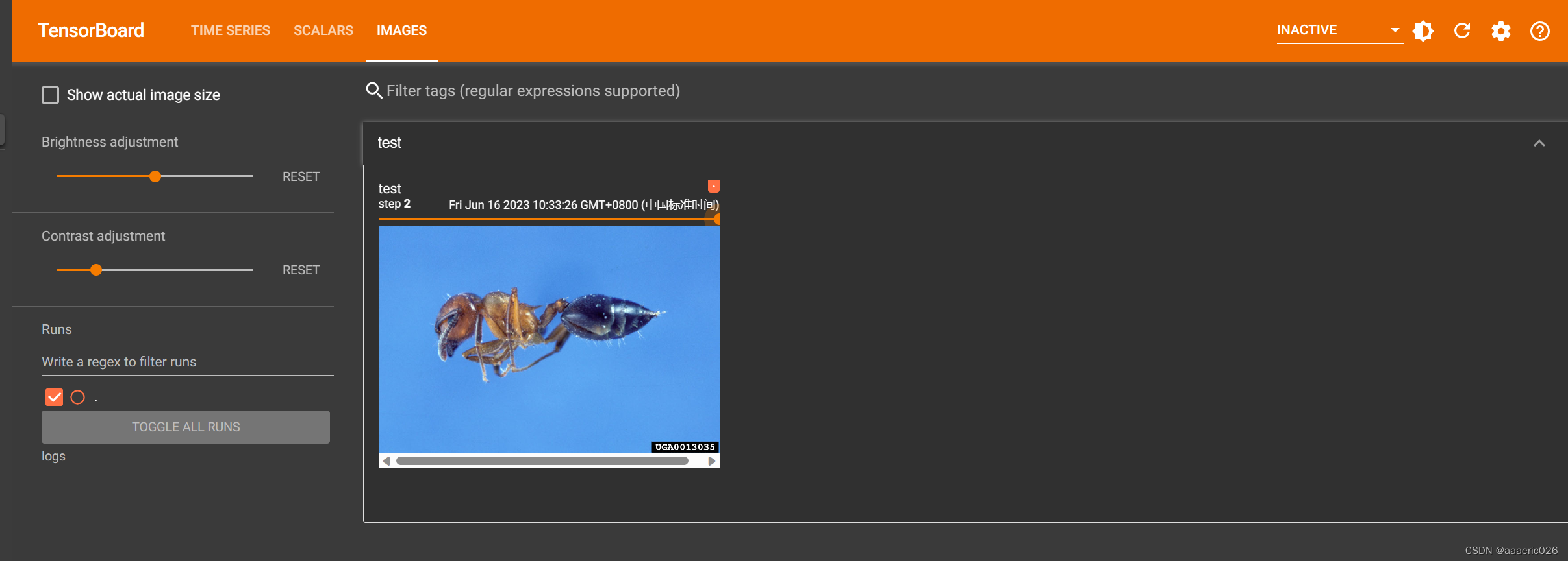 Pytorch个人笔记篇_torchvision reshape-CSDN博客