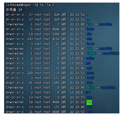 ls命令怎么使用？Linux命令基础结构_linux中1s还是ls-CSDN博客
