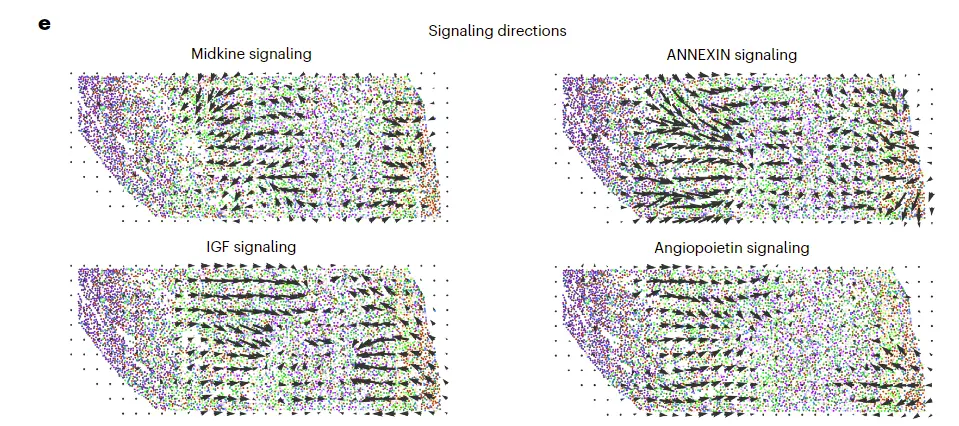 课前准备---空间通讯信号流COMMOT（封装版）_screening cell–cell communication in spatial ...