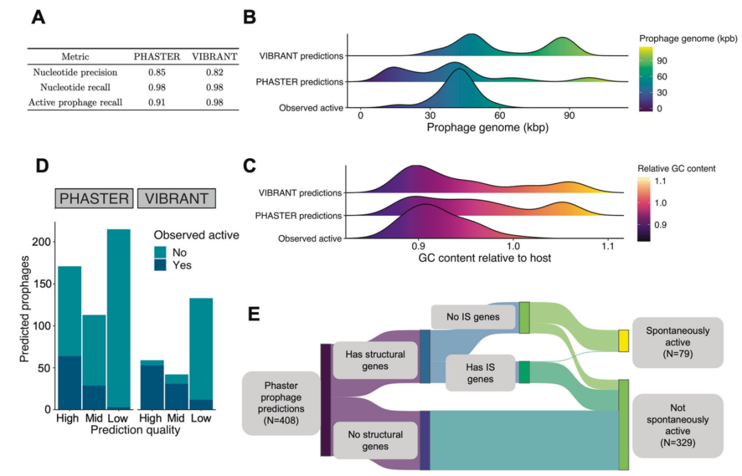 ISME | 哥本哈根大学Hansen组揭示小麦叶际细菌中存在大量活性和功能未知的原噬菌体...-CSDN博客