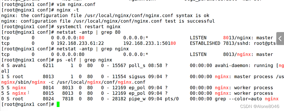 nginx的vim nginx.conf配置文件内容详解及实验，nginx的优化和防盗链-CSDN博客