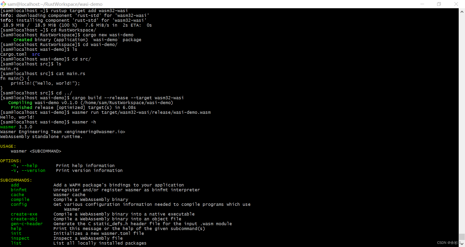 基于 Rust 的 Wasm/Wasi 开发探索与实践（Linux开发环境）_wasi安装-CSDN博客