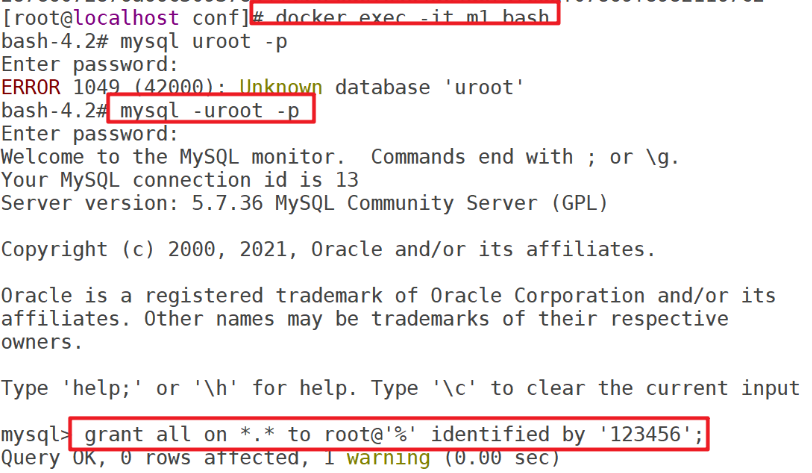 【Docker】使用Docker安装Nginx及部署前后端分离项目应用_docker run nginx-CSDN博客