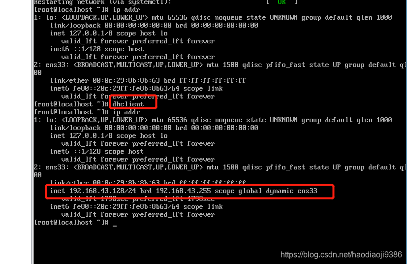 CentOS 7设置静态IP后ifconfig/ip addr无inet显示的解决方法_centos7ifconfig没有ient-CSDN博客