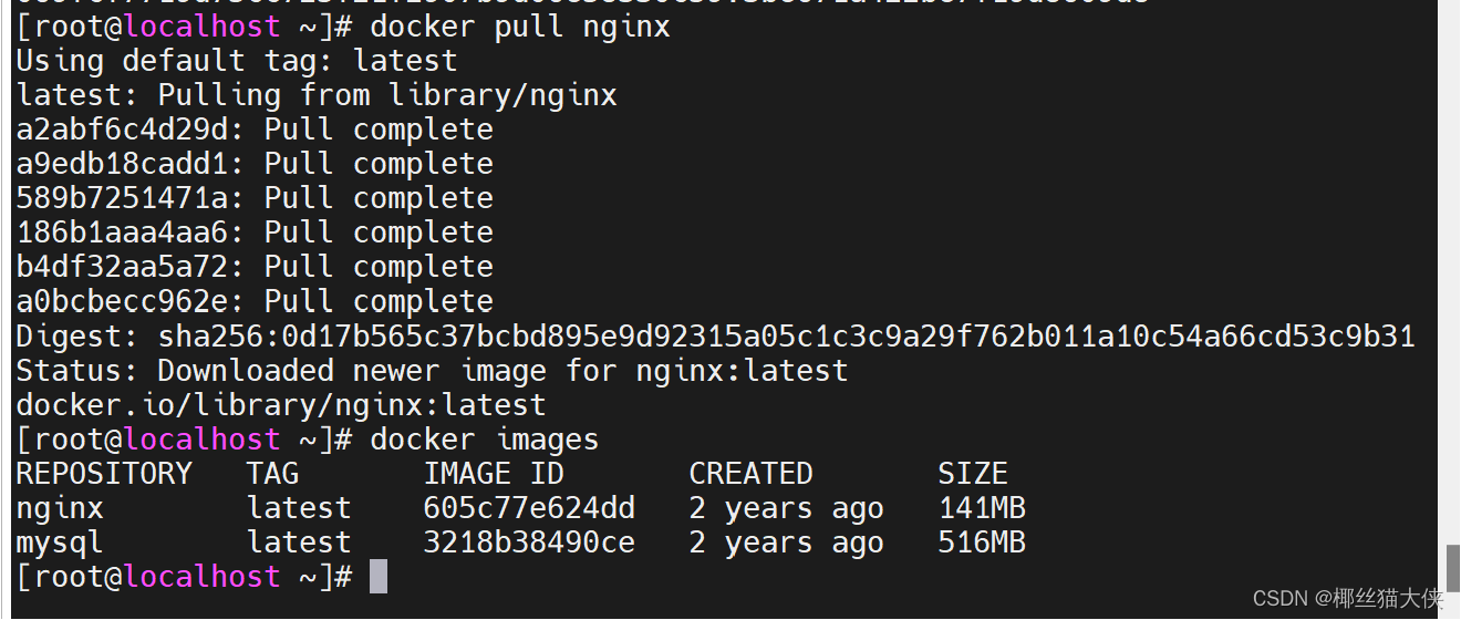 Linux环境下Docker实现项目部署_heidisql linux-CSDN博客