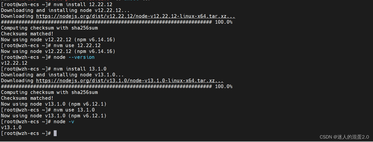 nodejs安装（Linux用nvm安装nodejs及版本管理）_linux上查看node版本-CSDN博客