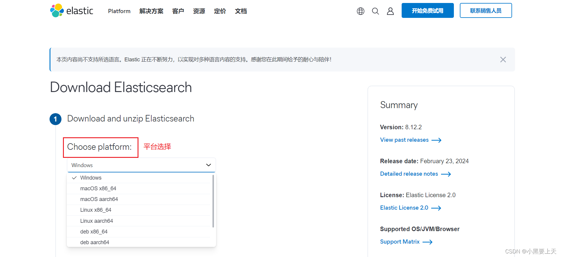Elasticsearch介绍_elastic官网-CSDN博客