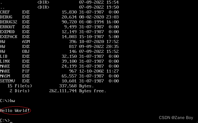 【实验报告】 微处理器原理与应用 CPUHomework1.1 【Masm for Windows DOSBox 虚拟DOS环境 调试 Debug基本命令 虚拟机安装 MS-DOS】_masm ...
