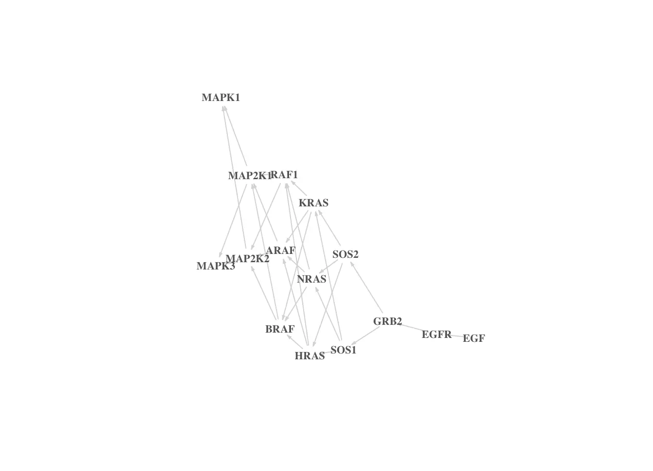 R 数据可视化 —— igraph 布局与绘图_igraph包绘制力导向布局图-CSDN博客
