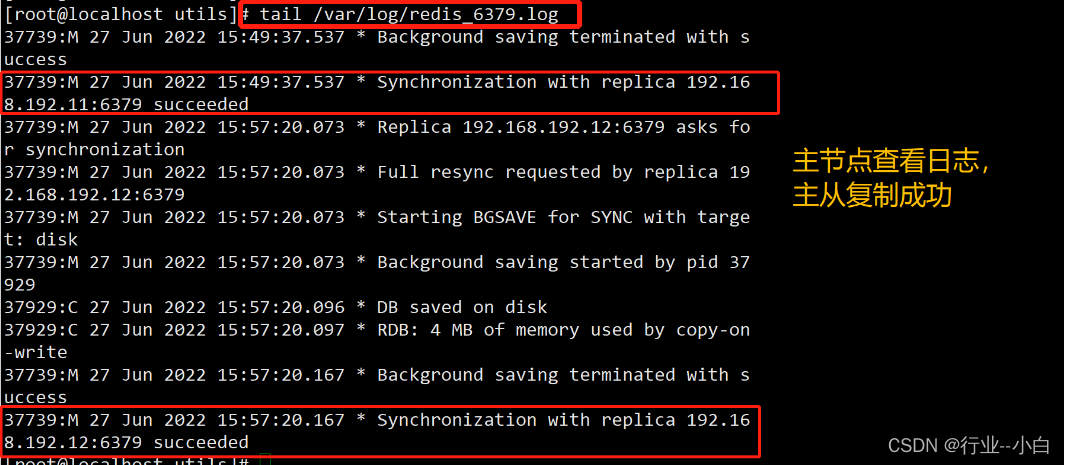 Redis主从复制与Cluster集群_redis 集群node.conf-CSDN博客