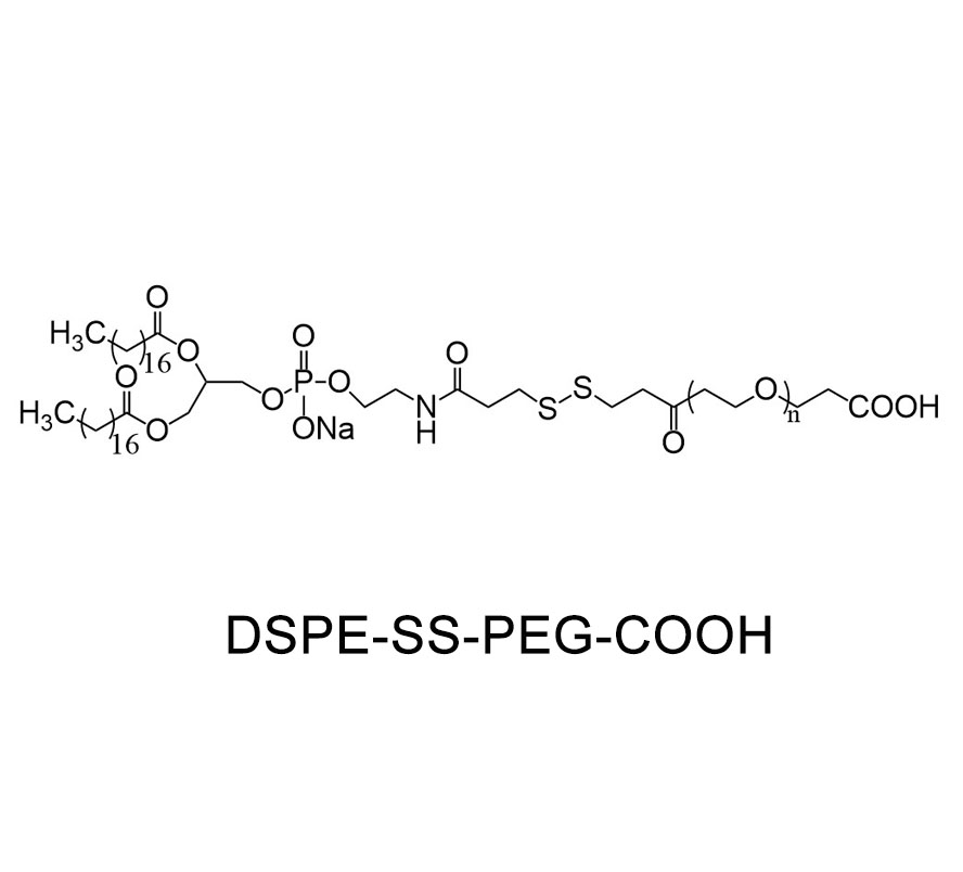 氧化还原型脂质体DSPE-SS-PEG-COOH磷脂-双硫键-聚乙二醇-羧基的用途_dspe-ss-peg-cooj-CSDN博客