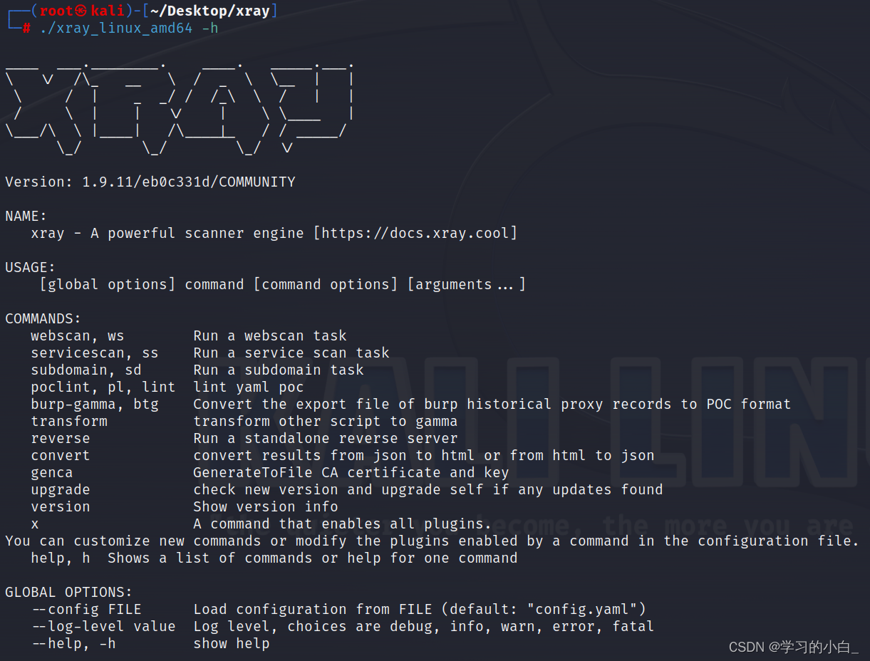Xray——Windows及Linux安装_xray linux-CSDN博客