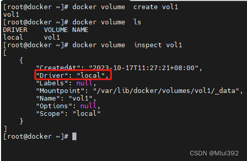 Docker数据卷管理与bindmount详解-CSDN博客