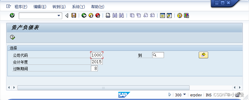 SAP-出具企业资产负债表_sap资产负债表事务代码-CSDN博客