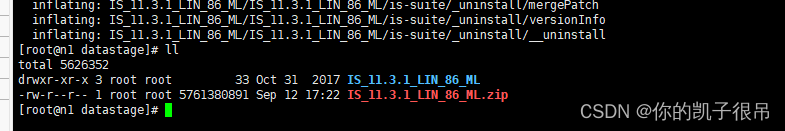 Datastage部署与使用_datastage安装教程-CSDN博客