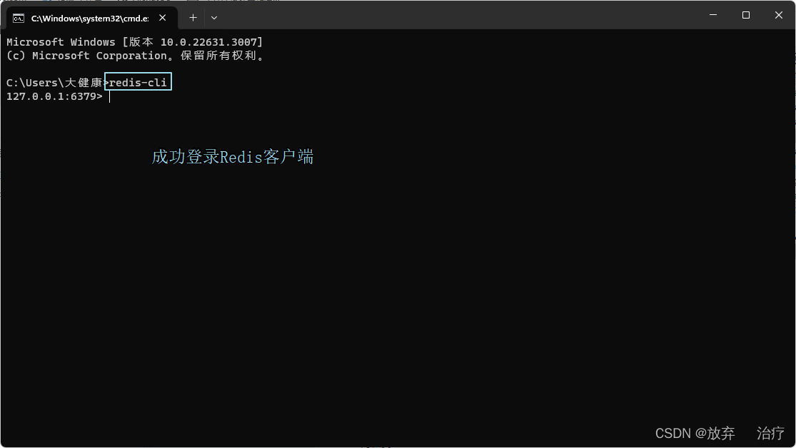(最新)Windows 11系统 Redis的安装教程_win11安装redis-CSDN博客