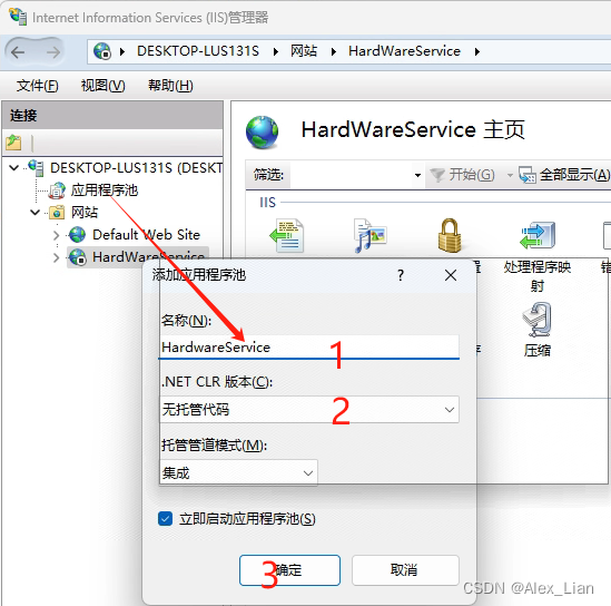 .net6 webapi 部署到IIS_webapi部署到iis-CSDN博客