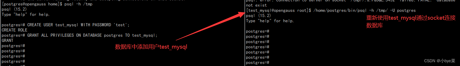postgres设置socket连接_postgresql socket-CSDN博客