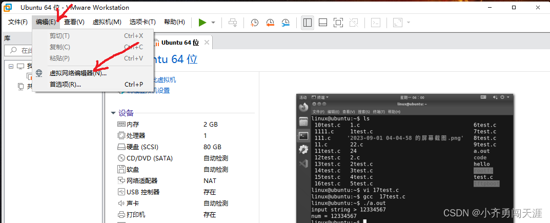 配置Ubuntu使用NAT模式联网，配置Ubuntu的ssh免密登录_ubuntu 开启nat-CSDN博客