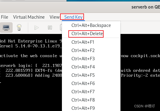 3.RHCSA脚本配置及通过node2改密码_rhcsa,重置node2密码-CSDN博客