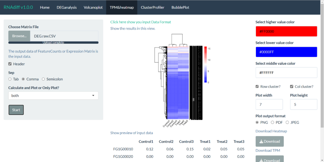 RNAdiff 使用教程 | DEG分析、TPM计算以及火山图和热图的绘制-CSDN博客
