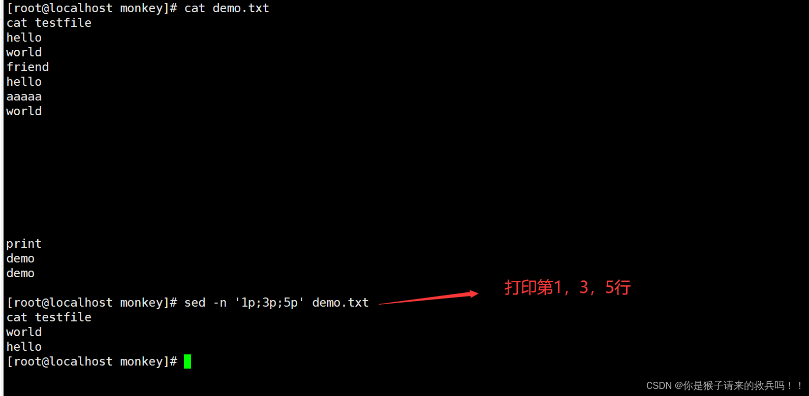linux（7）- sed_linux7 sed-CSDN博客