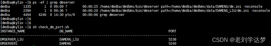 达梦8数据库用dbca.sh程序修改实例名和端口号_已存在数据库服务,请更改数据库实例名称 达梦-CSDN博客