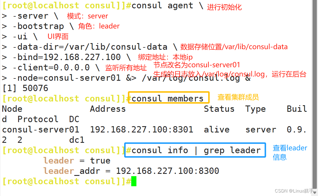 Docker-consul_docker 查看consul实例个数-CSDN博客