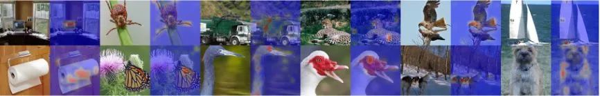 清华提出DynamicViT：动态Token稀疏化的高效视觉Transformer-CSDN博客