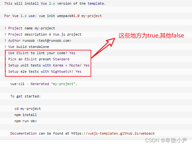 Vue.js安装与配置指南-CSDN博客