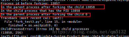 python多进程，multiprocessing和fork_multiprocessing fork-CSDN博客