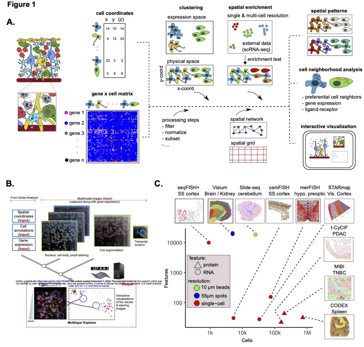 10X空间转录组分析回顾之Giotto_giotto 空间转录组-CSDN博客