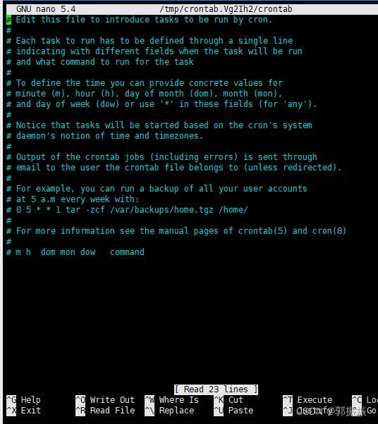 使用crontab定时自动更新DDNS-CSDN博客