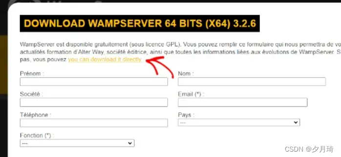 使用 WampServer 在 Windows 计算机上成功安装了 WordPress_wampserver wordpress-CSDN博客
