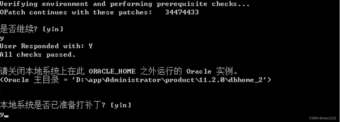 windows上oracle11g安装补丁（patches）_oracle11g补丁下载-CSDN博客