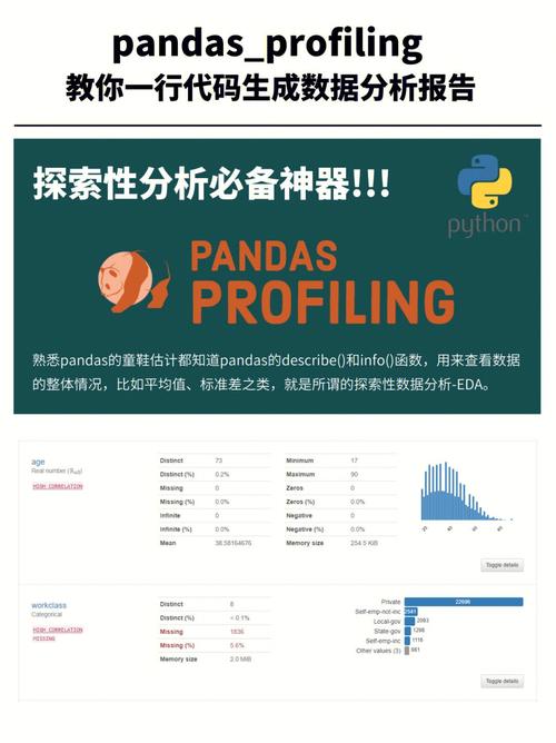 Python3 数据分析项目案例python数据分析报告 范文python3 出数据报告 Csdn博客