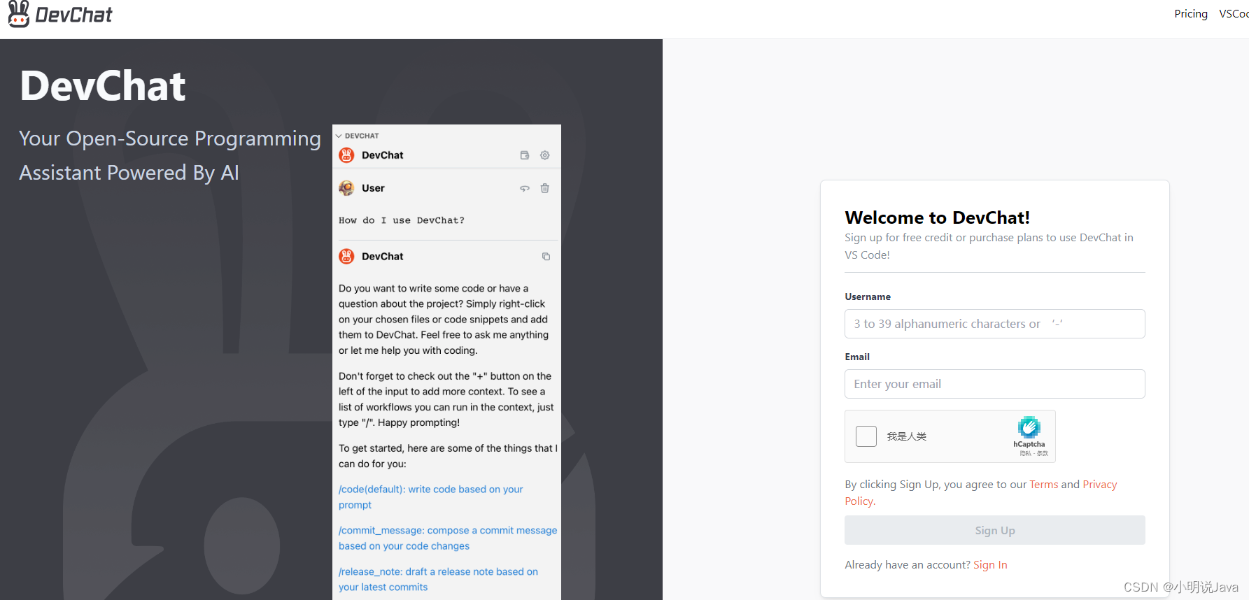 Devchat AI尝鲜试用：程序员开发提效利器，告别脏活累活_chatdev使用测评-CSDN博客