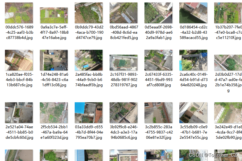 无人机助力违法毒品种植智能监测预警，基于YOLOv7【tiny/l/x】不同系列参数模型开发构建无人机航拍场景下的农村田园场景下非法种植罂粟花检测预警识别系统_无人机反制 yolo-CSDN博客
