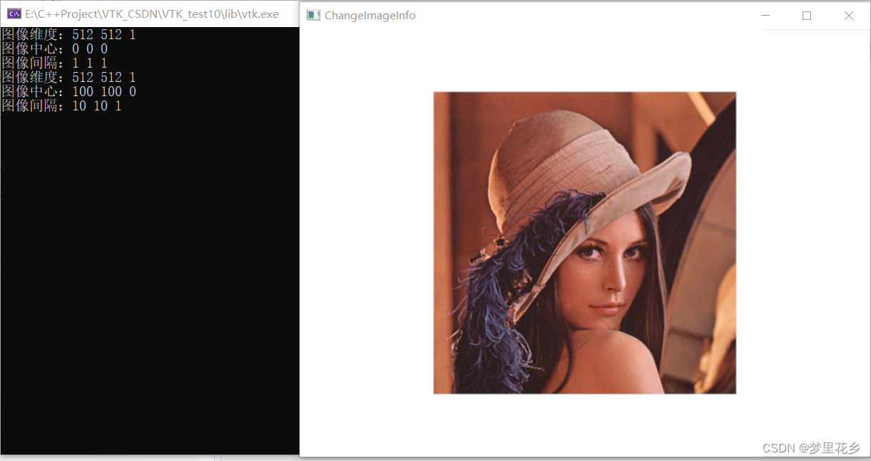 7.VTK图像基本操作_vtk中怎么定义origin[2] spacing[2] dim[2]-CSDN博客