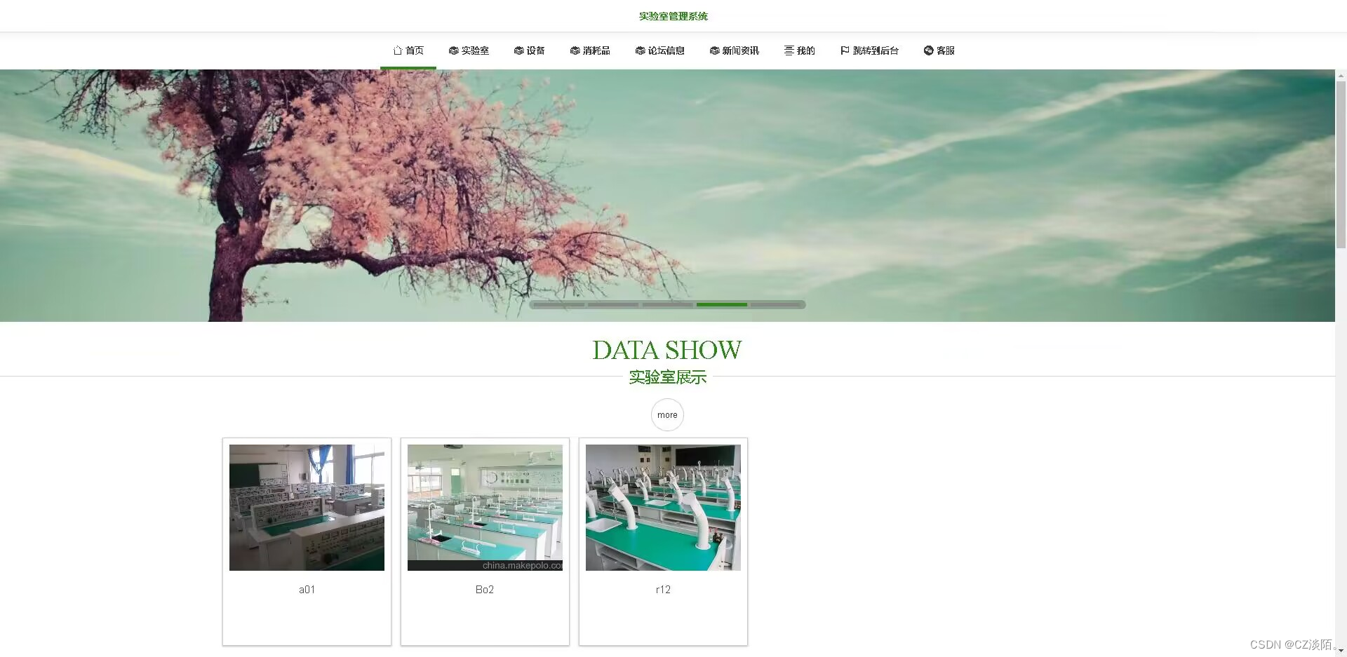 基于springboot 的实验室管理系统(程序数据库)基于springbooot的实验室管理系统 Csdn博客