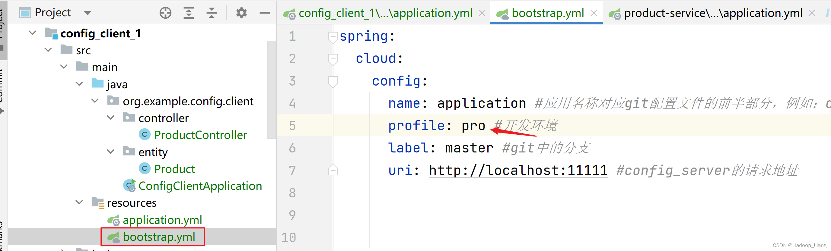 配置中心--Spring Cloud Config_spring cloud config配置中心-CSDN博客