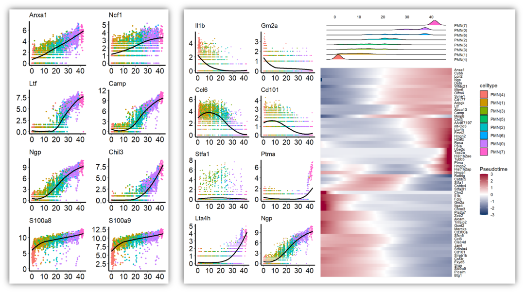 ggplot修饰monocle2拟时热图：一众问题全部解决_monocle2热图-CSDN博客