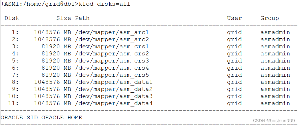 19c ASM命令_kfod disks=all-CSDN博客