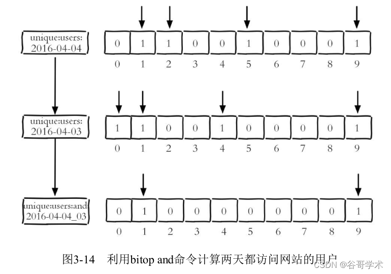 Redis入门完整教程：Bitmaps_redis bitops-CSDN博客