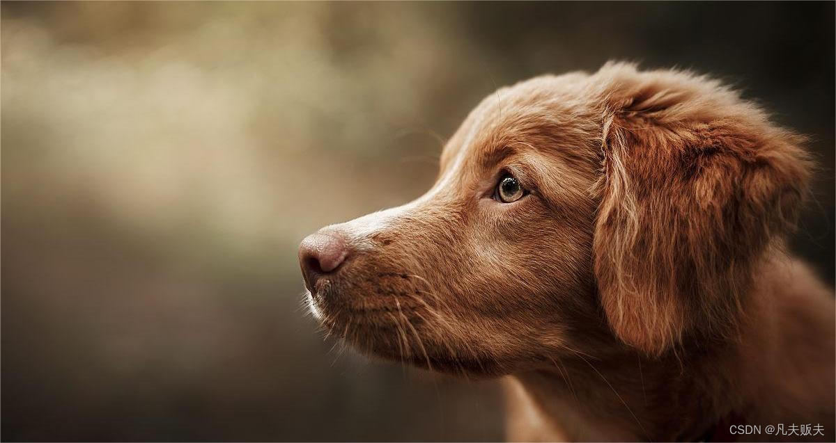 深入了解Java8新特性-日期时间API之ChronoUnit、ChronoField-CSDN博客