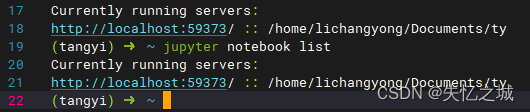 Linux服务器下解决进入jupyter Notebook时遇到的password Or Token需要设置输入密码问题的另一种思路
