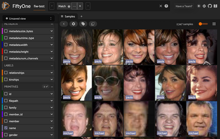 FifthOne：计算机视觉提示和技巧_fiftyone开源-CSDN博客