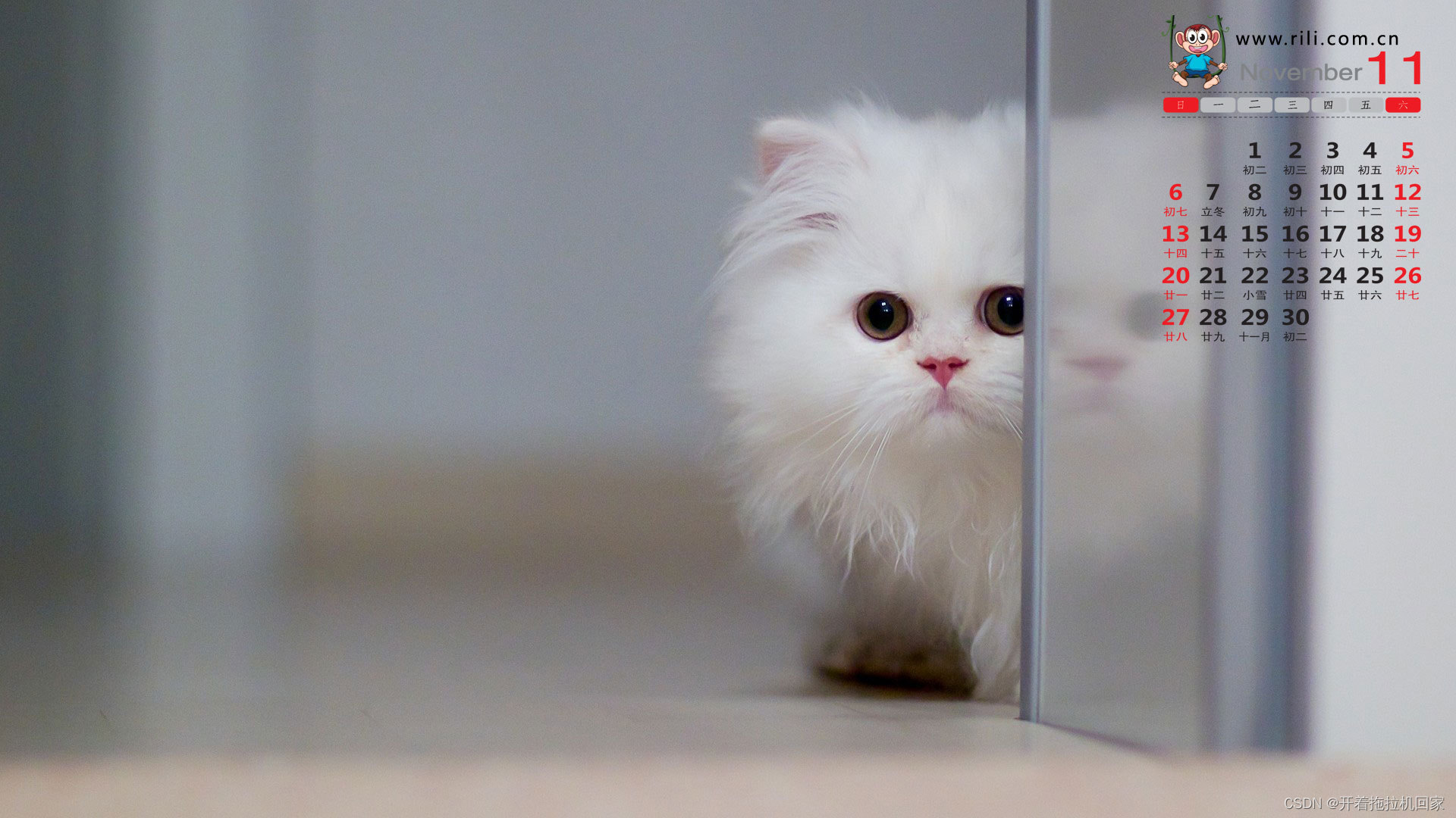 【分布式数据库】HBase读写性能调优（一）_hbase.hstore.blockingstorefiles-CSDN博客