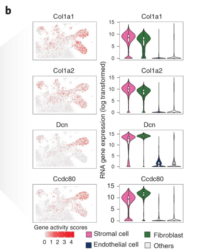 scJoint integrates atlas-scale single-cell RNA-seq and ATAC-seq data ...
